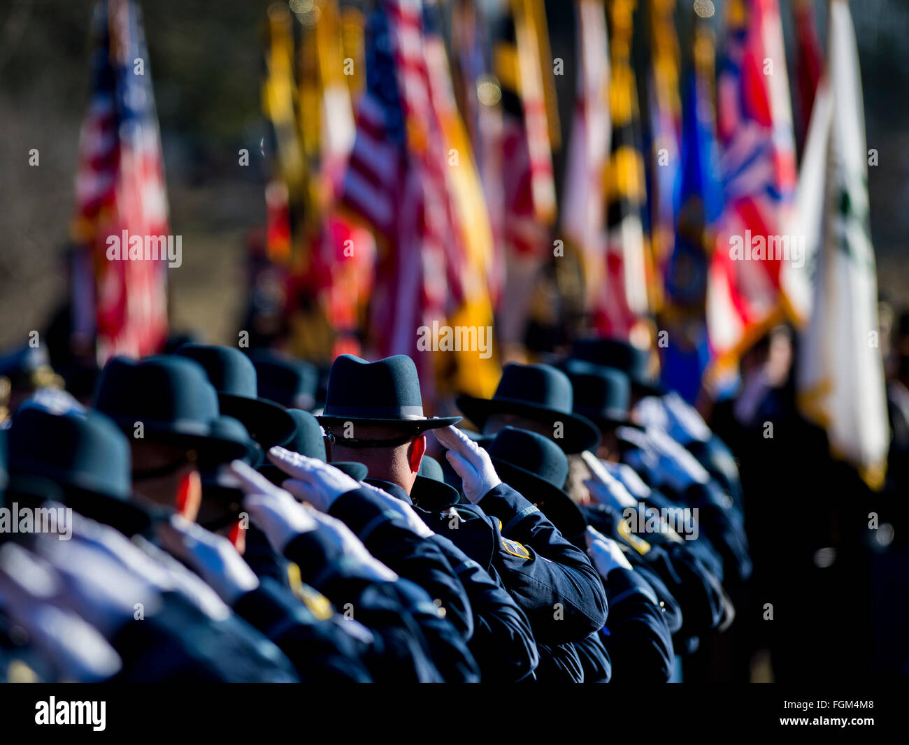 Timonium High Resolution Stock Photography and Images - Alamy