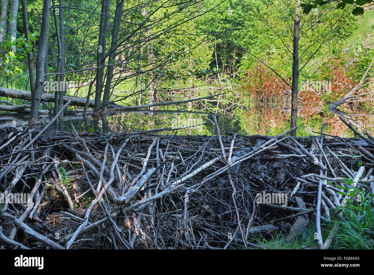 Barrage walk hi-res stock photography and images - Alamy