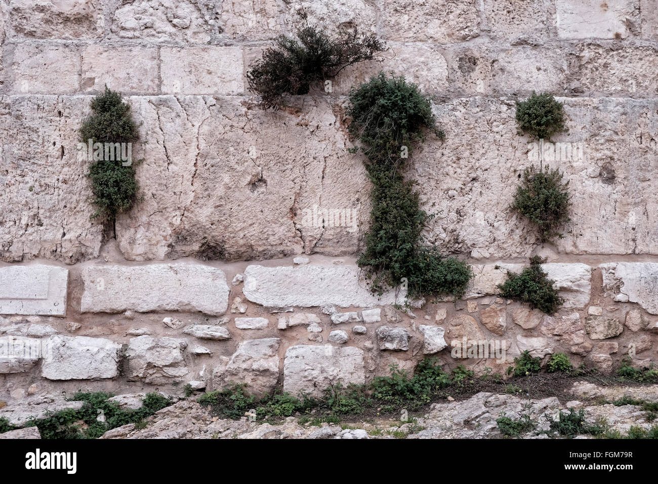 View of the Ottoman city wall between Herod's Gate and Damascus Gate in ...