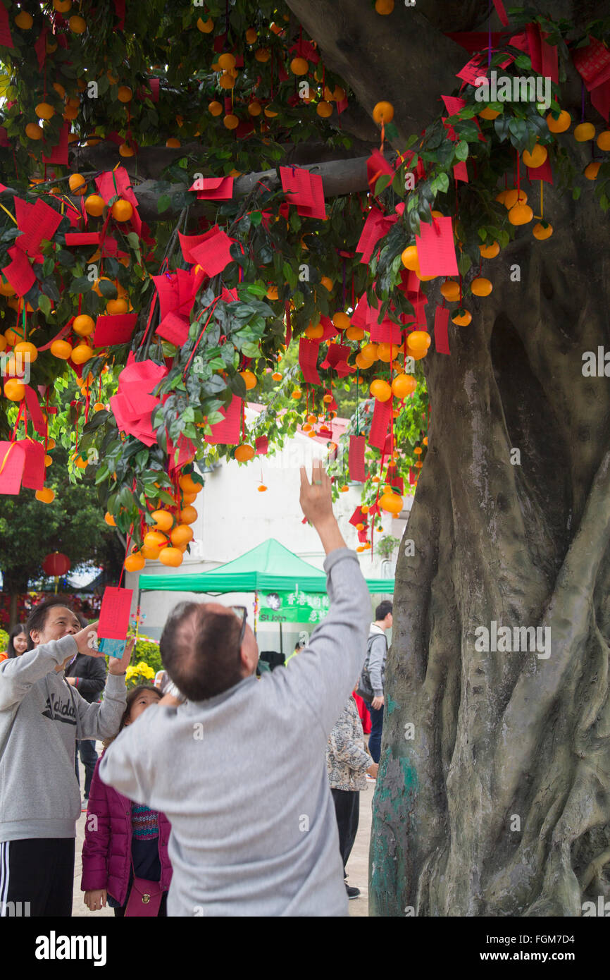 People throwing wishes on wishing tree at Wishing Tree Festival at ...