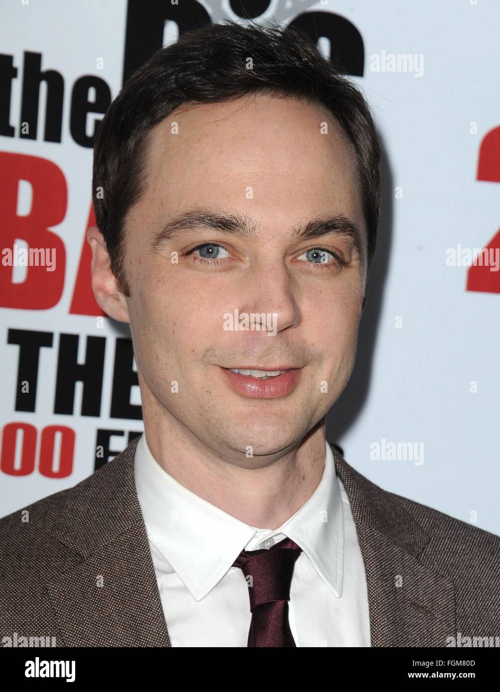 Los Angeles, CA, USA. 20th Feb, 2016. Jim Parsons at arrivals for THE ...