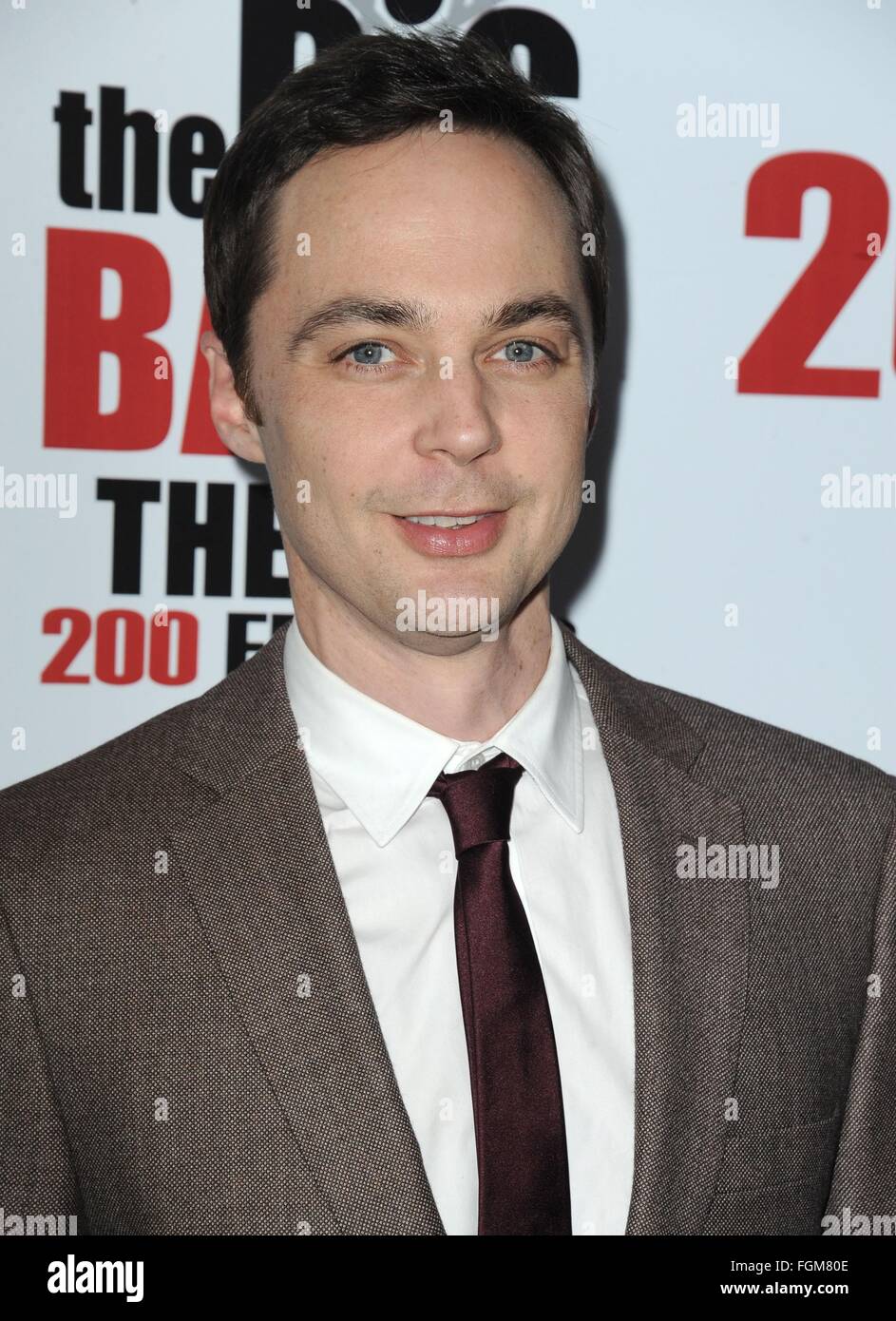 Los Angeles, CA, USA. 20th Feb, 2016. Jim Parsons at arrivals for THE ...