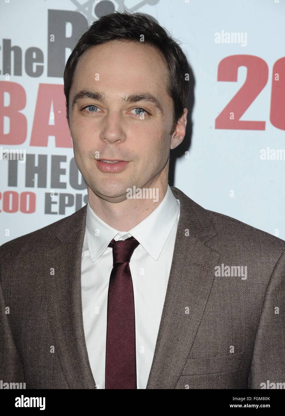 Los Angeles, CA, USA. 20th Feb, 2016. Jim Parsons at arrivals for THE ...