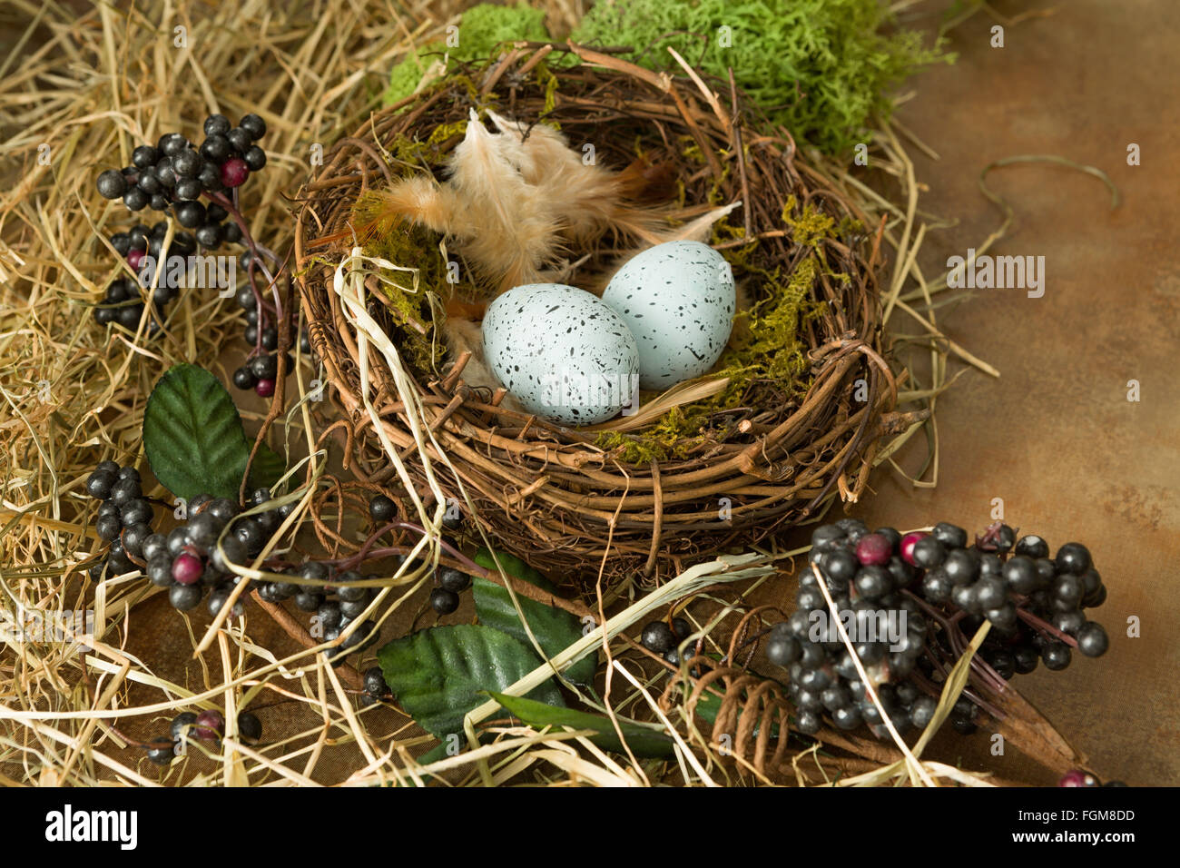 Border frame image made of berries, spring leaves and a bird's nest ...
