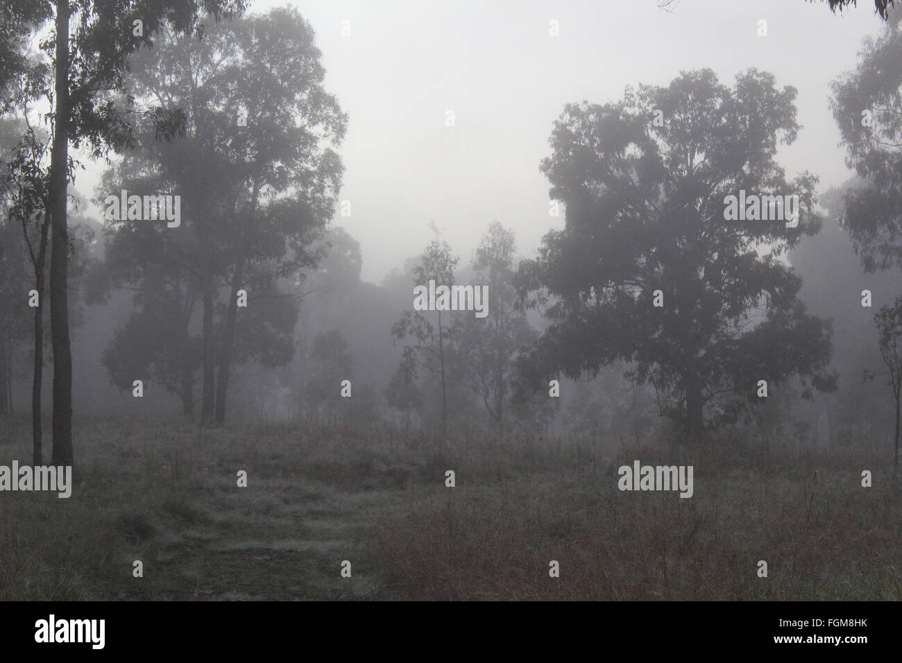 Dawn early hi-res stock photography and images - Alamy