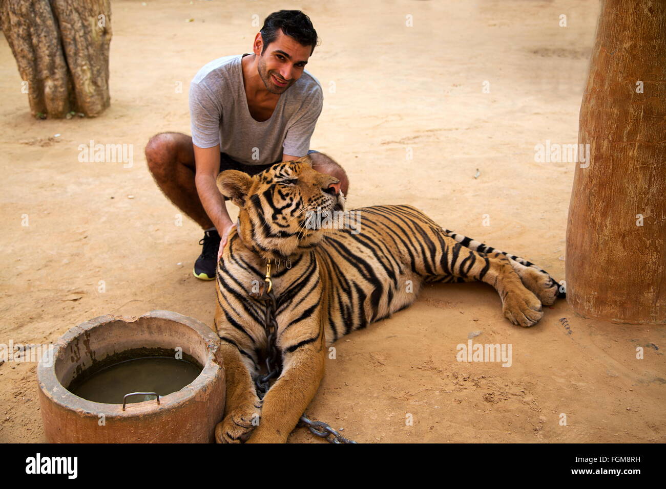 Man in Tiger temple in Thailand Stock Photo - Alamy