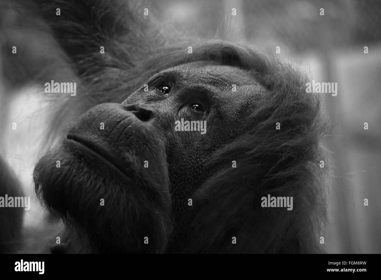 Things are looking up Stock Photo - Alamy