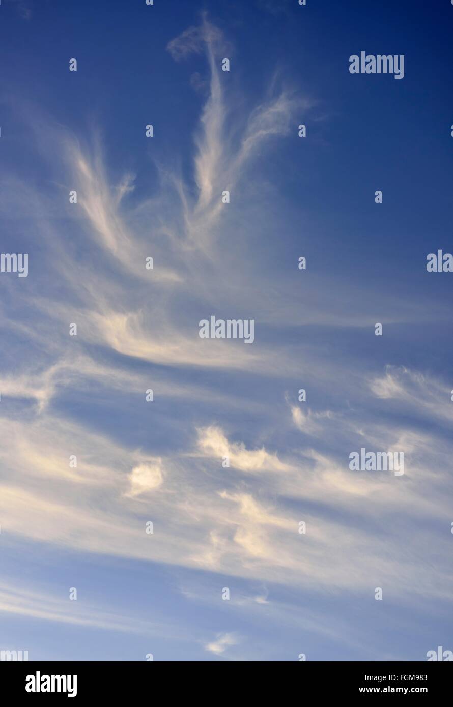 Cirrus fibratus and cirrus uncinus clouds, Upper Bavaria, Bavaria ...