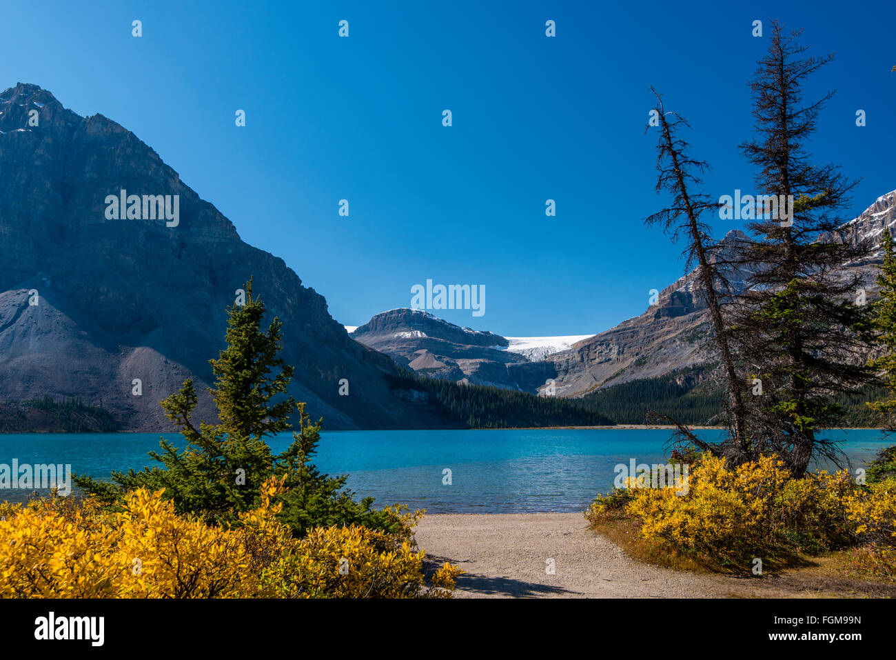 Glacial lake Bow Lake, behind Bow Glacier, Banff National Park ...
