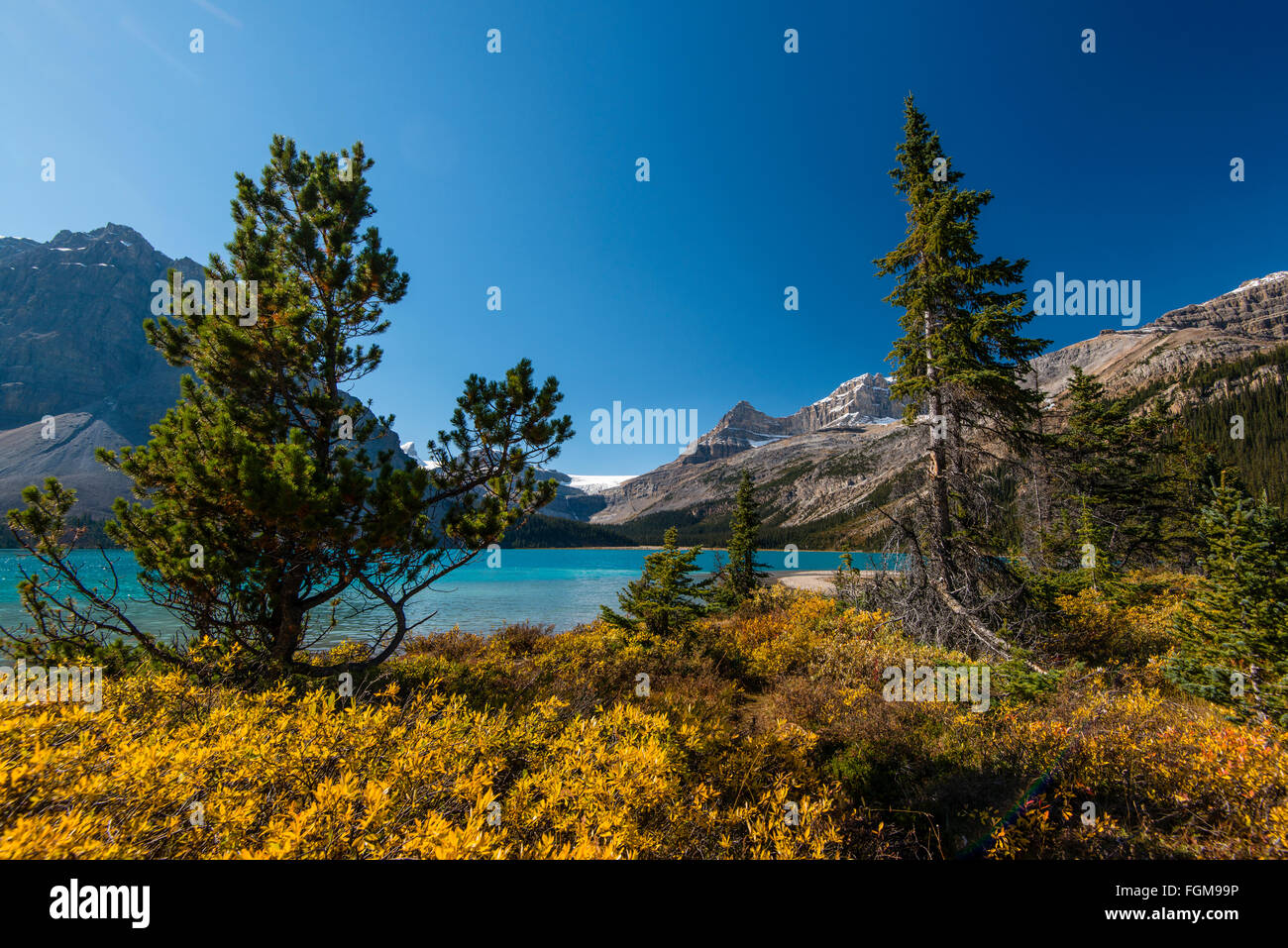 Glacial lake Bow Lake, behind Bow Glacier, Banff National Park ...