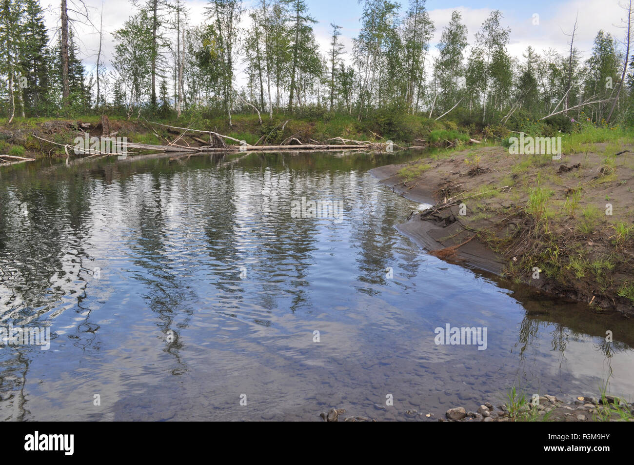 North river landscape. River in Northern Siberia in the summer Stock ...