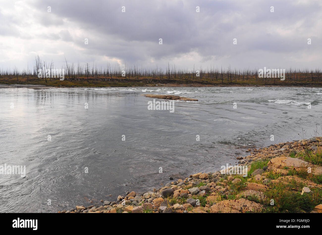 North river landscape. River in Northern Siberia in the summer Stock ...