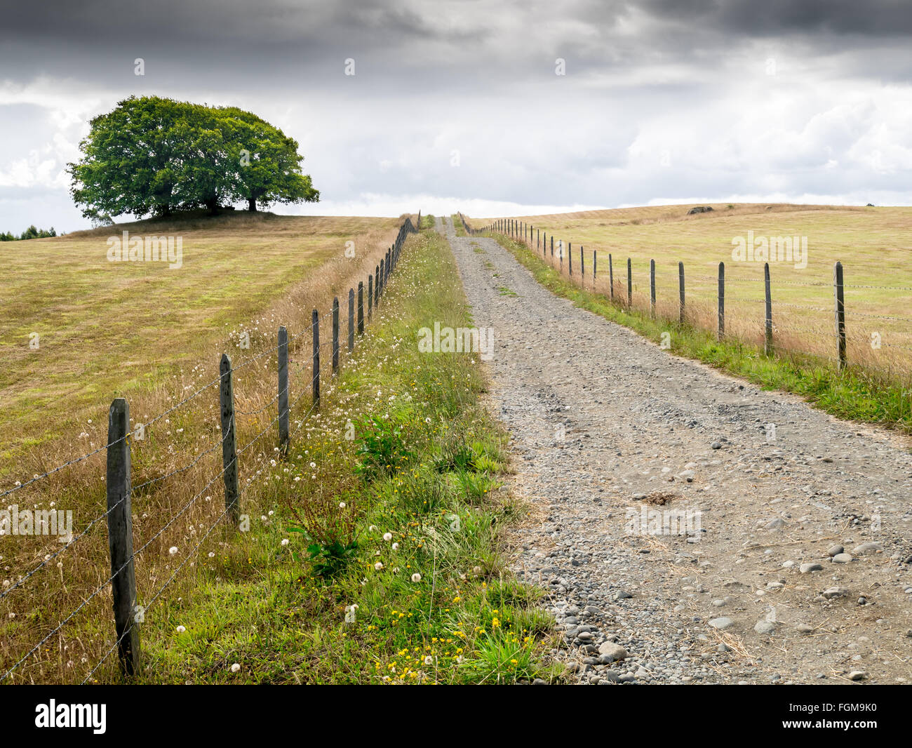 A very nice Bike tour from Puerto Varas to Frutillar Stock Photo - Alamy