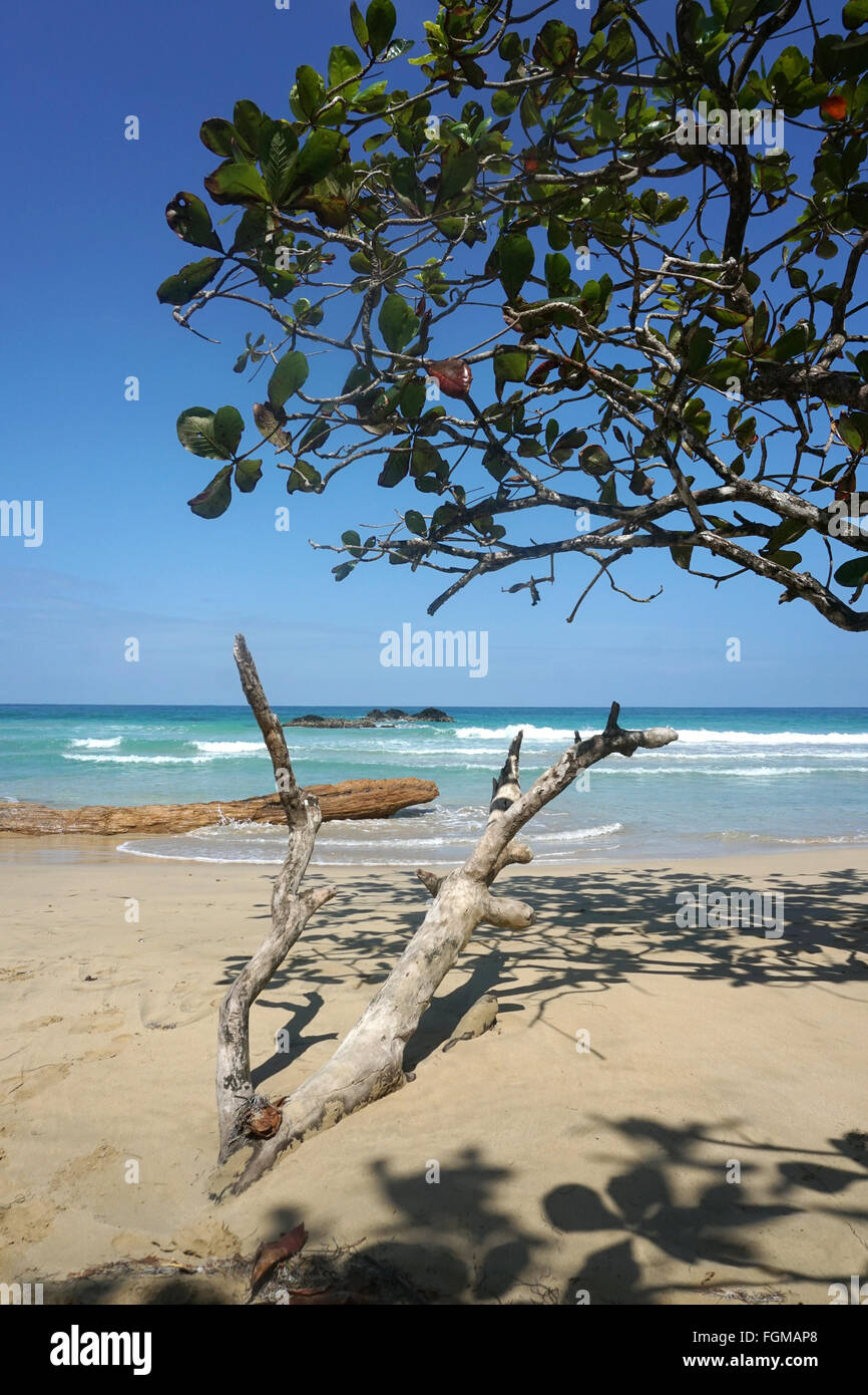 Red frog beach at Isla Bastimentos in the archipelago of Bocas del toro ...