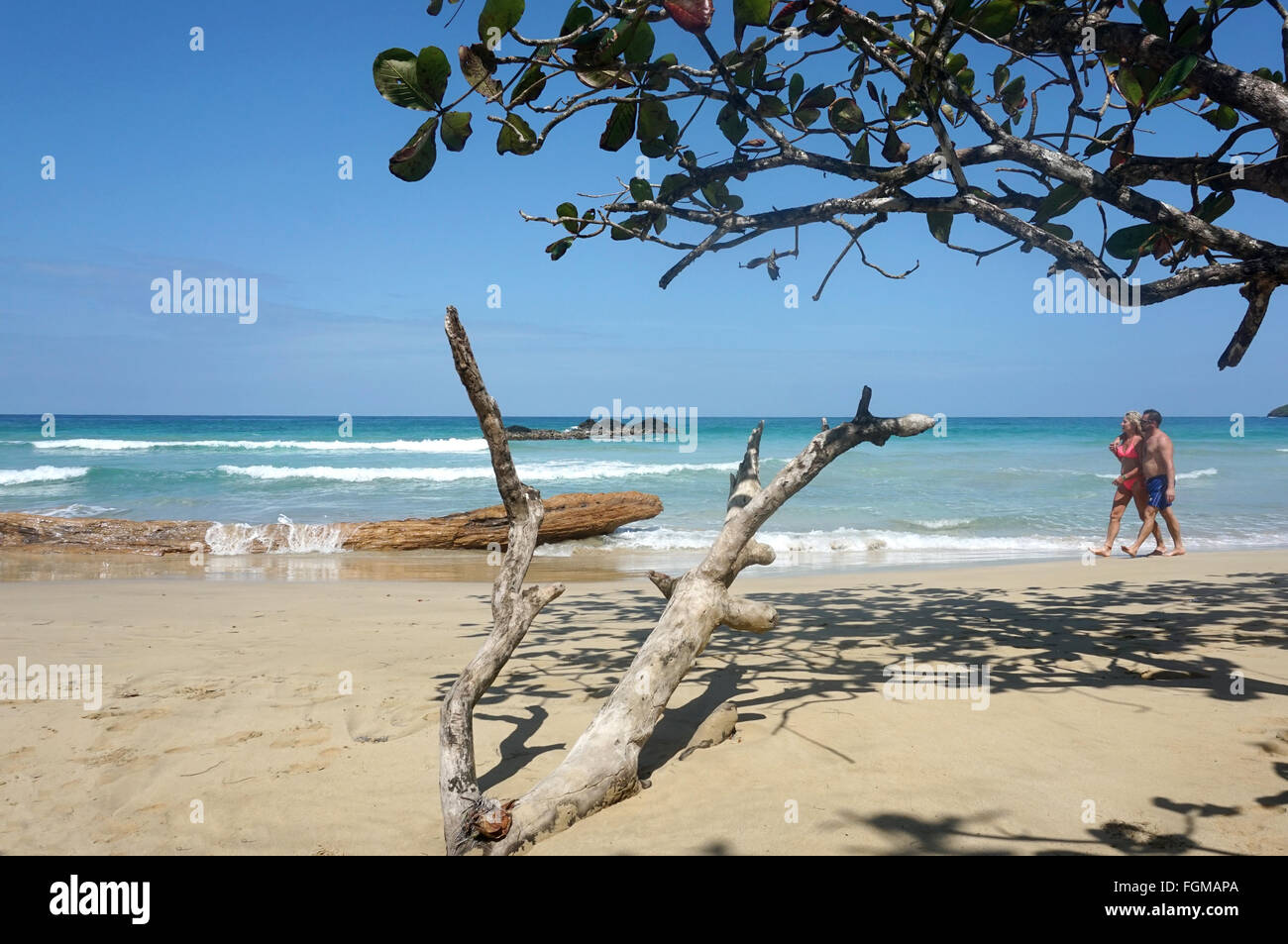 Red frog beach at Isla Bastimentos in the archipelago of Bocas del toro ...