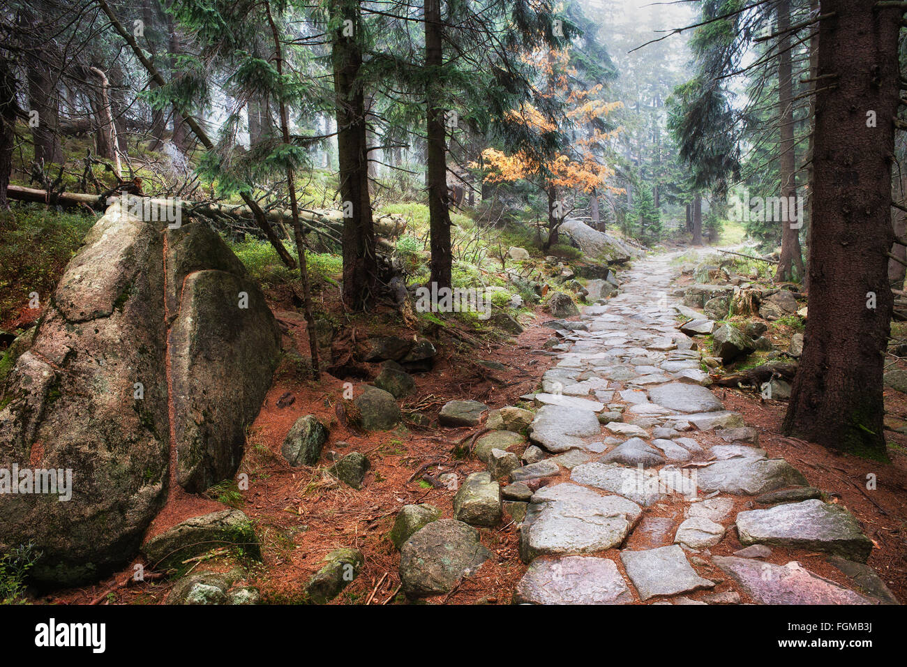Footpath nature hi-res stock photography and images - Alamy