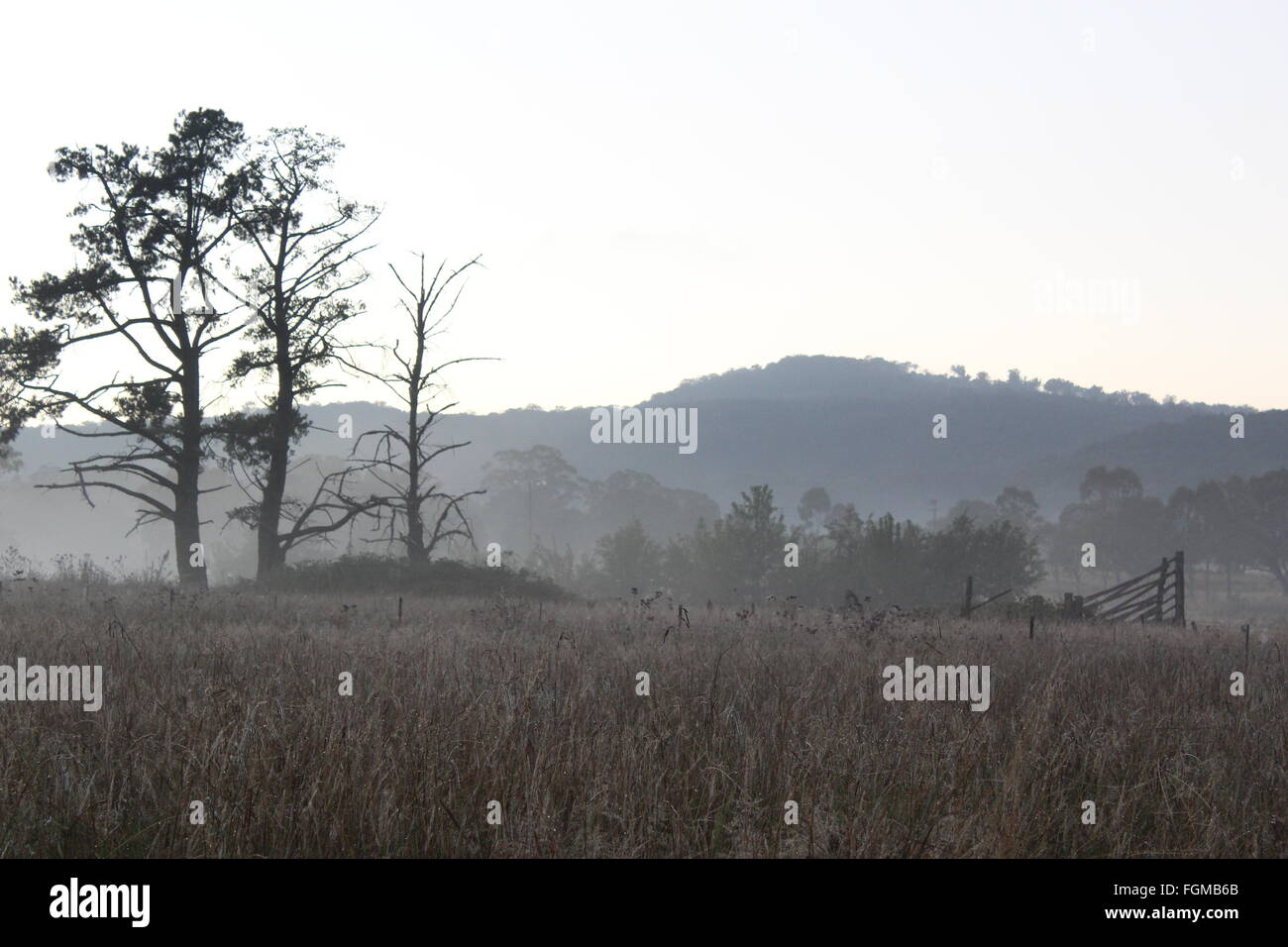 Early morning in the country Stock Photo - Alamy