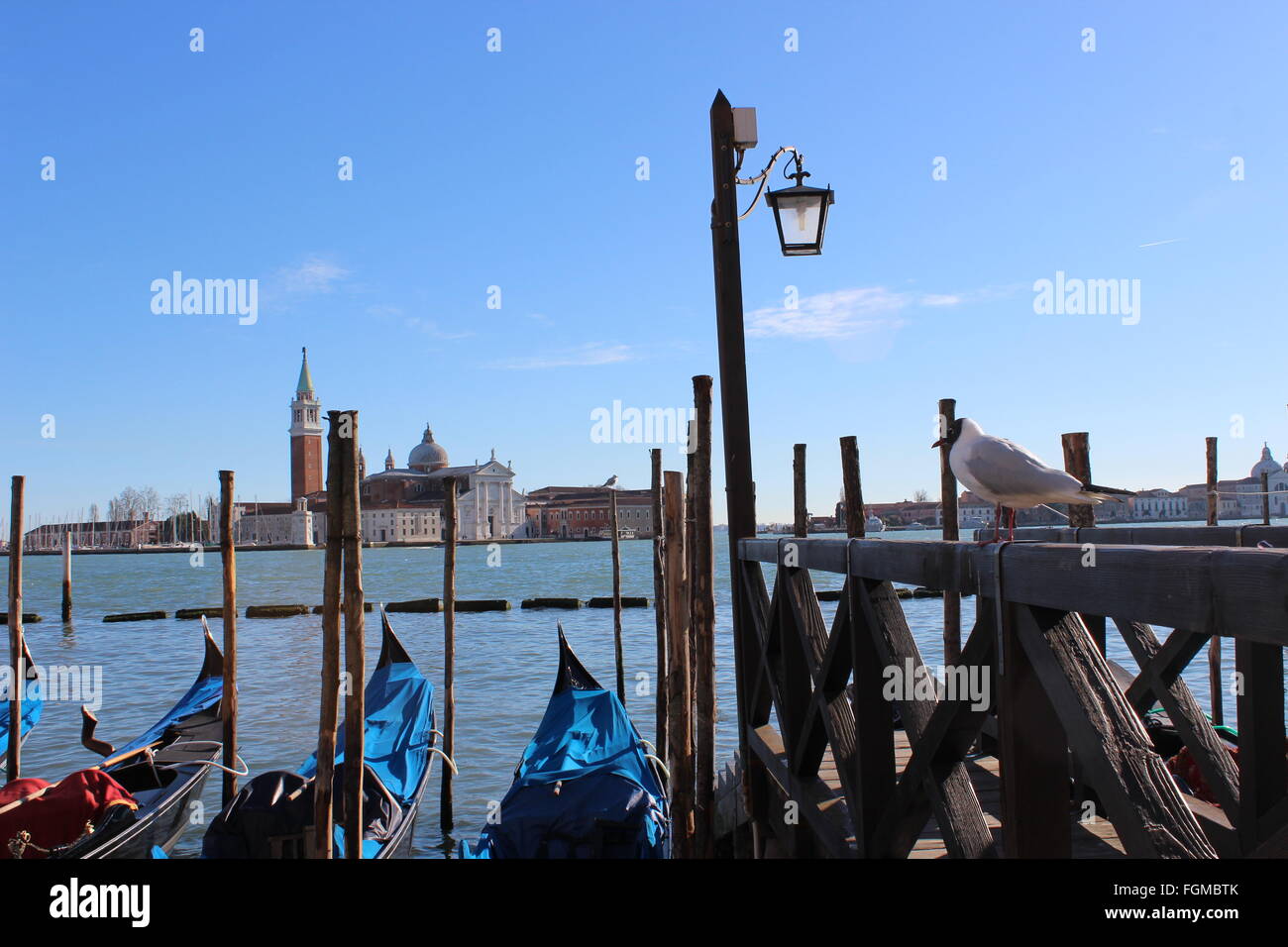 Venice, culture and nature Stock Photo - Alamy