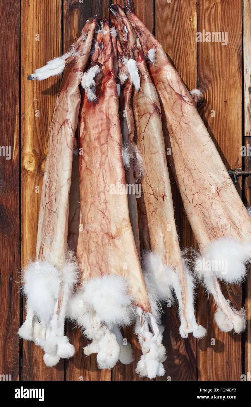 Skins white hare on the wooden background Stock Photo - Alamy