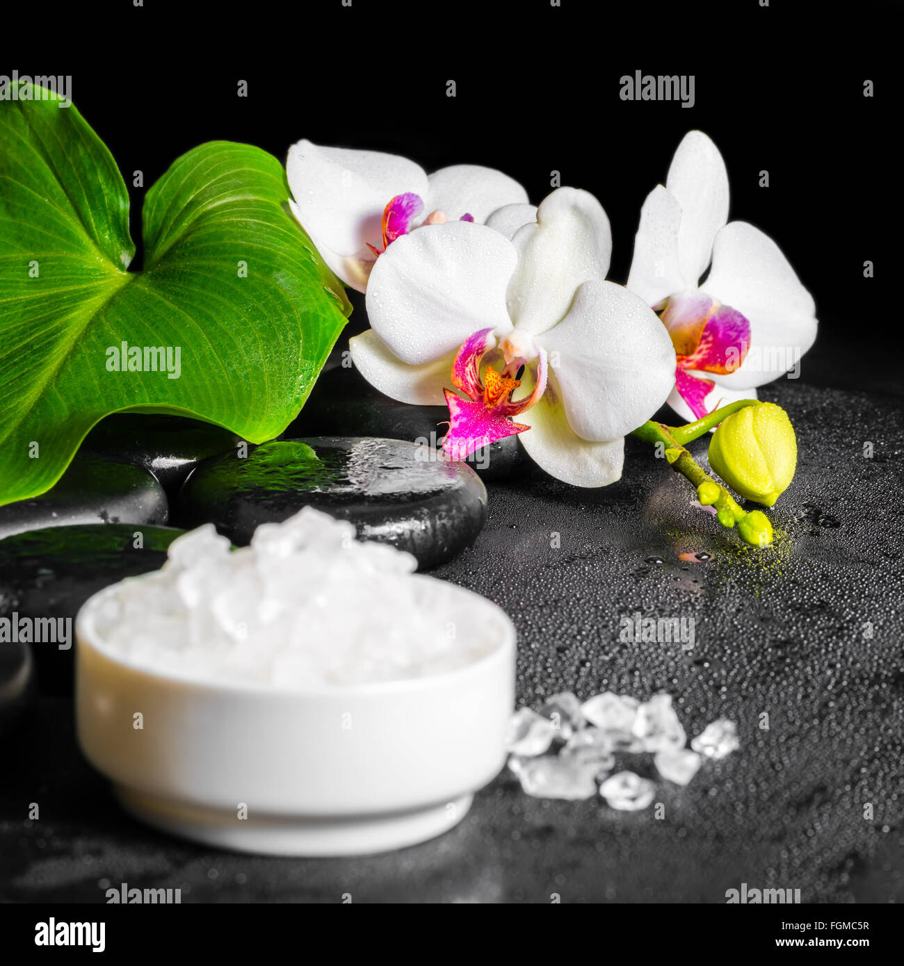 beautiful spa concept of white orchid flower, phalaenopsis, green leaf ...