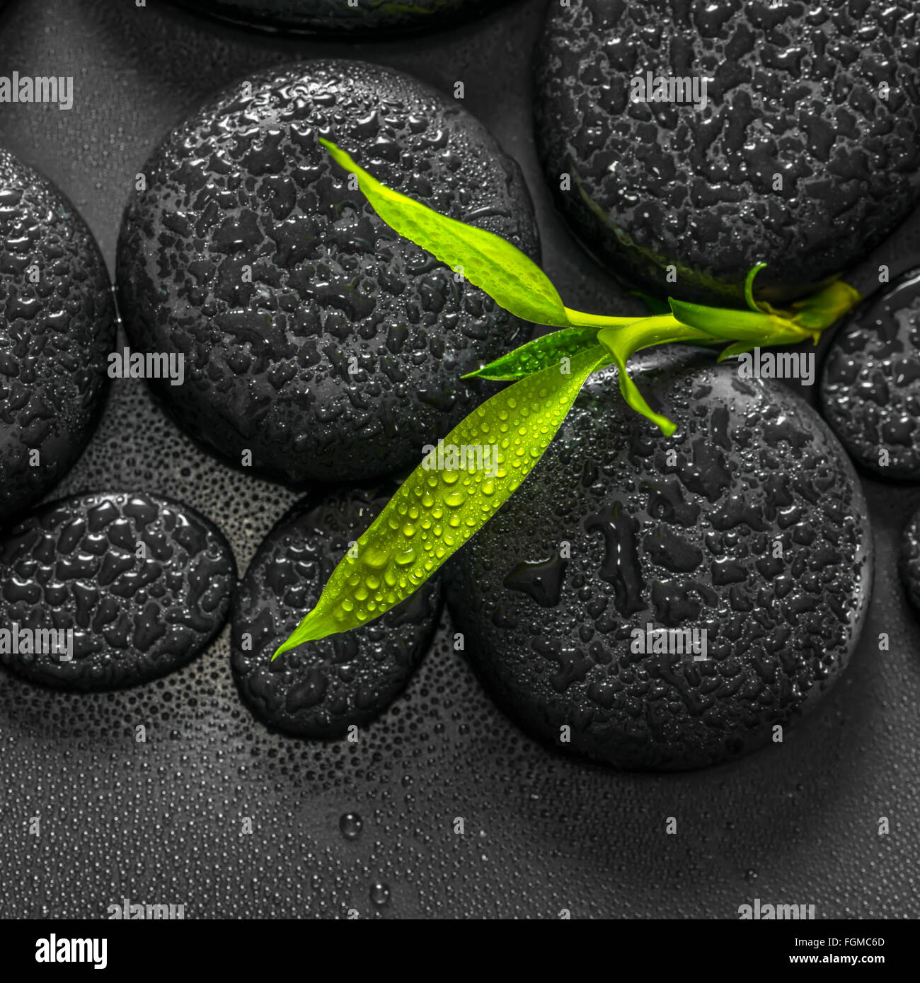 top down closeup beautiful spa composition of green branch bamboo on ...