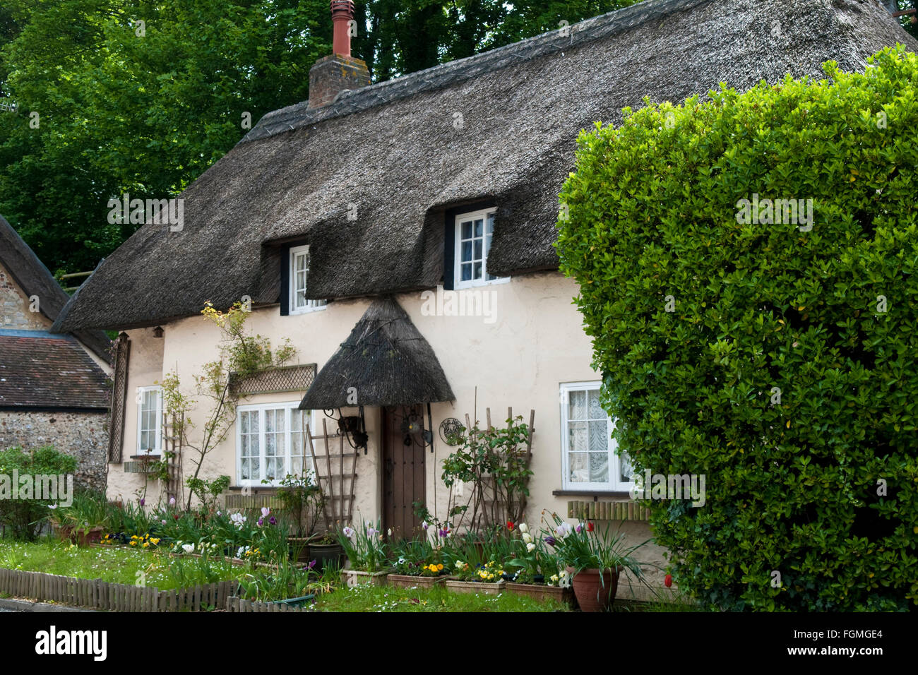 A traditional thatched cottage in West Lulworth, Dorset, England Stock ...