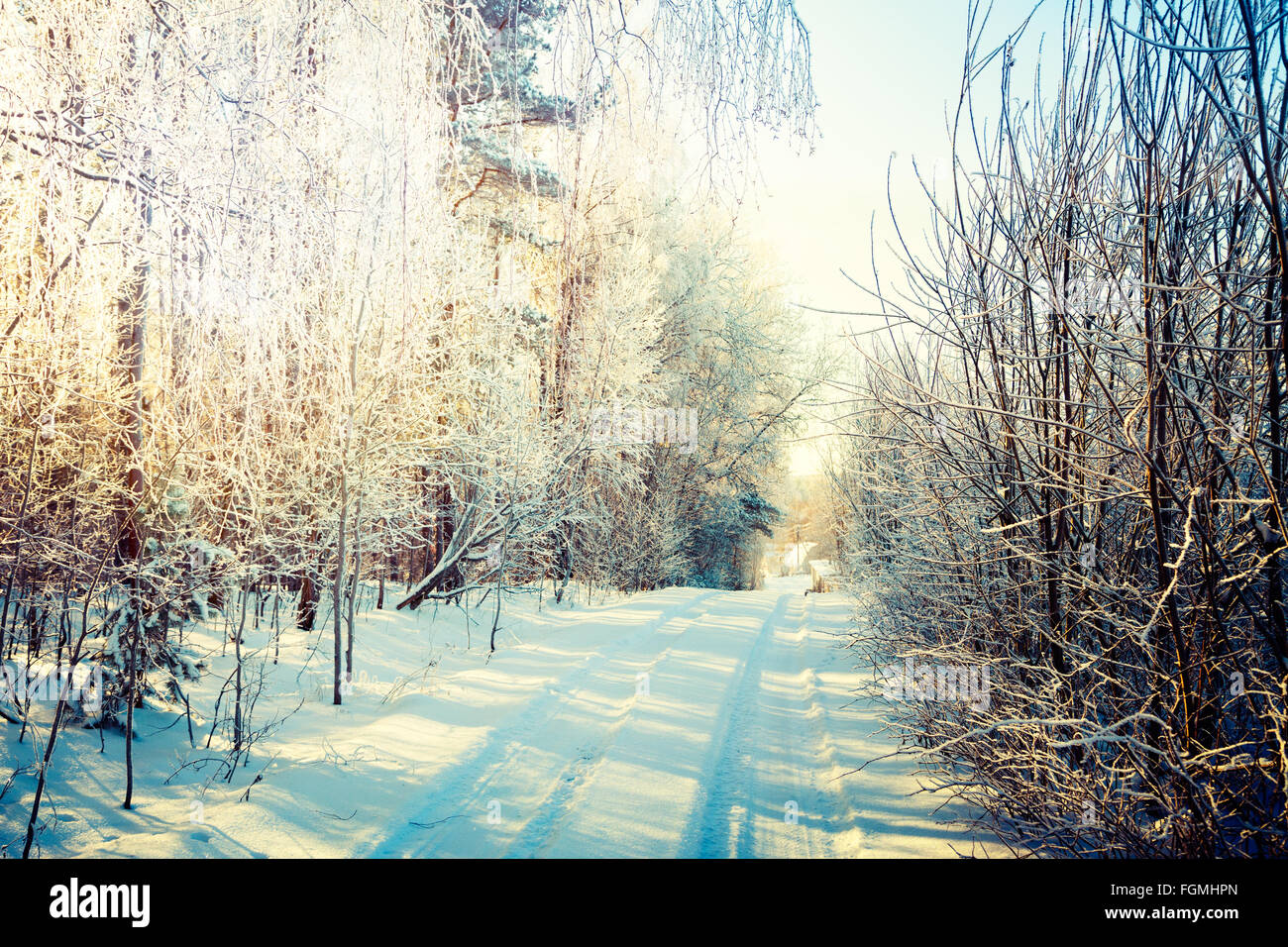 Winter Landscape. Snowy Road in Forest Stock Photo - Alamy