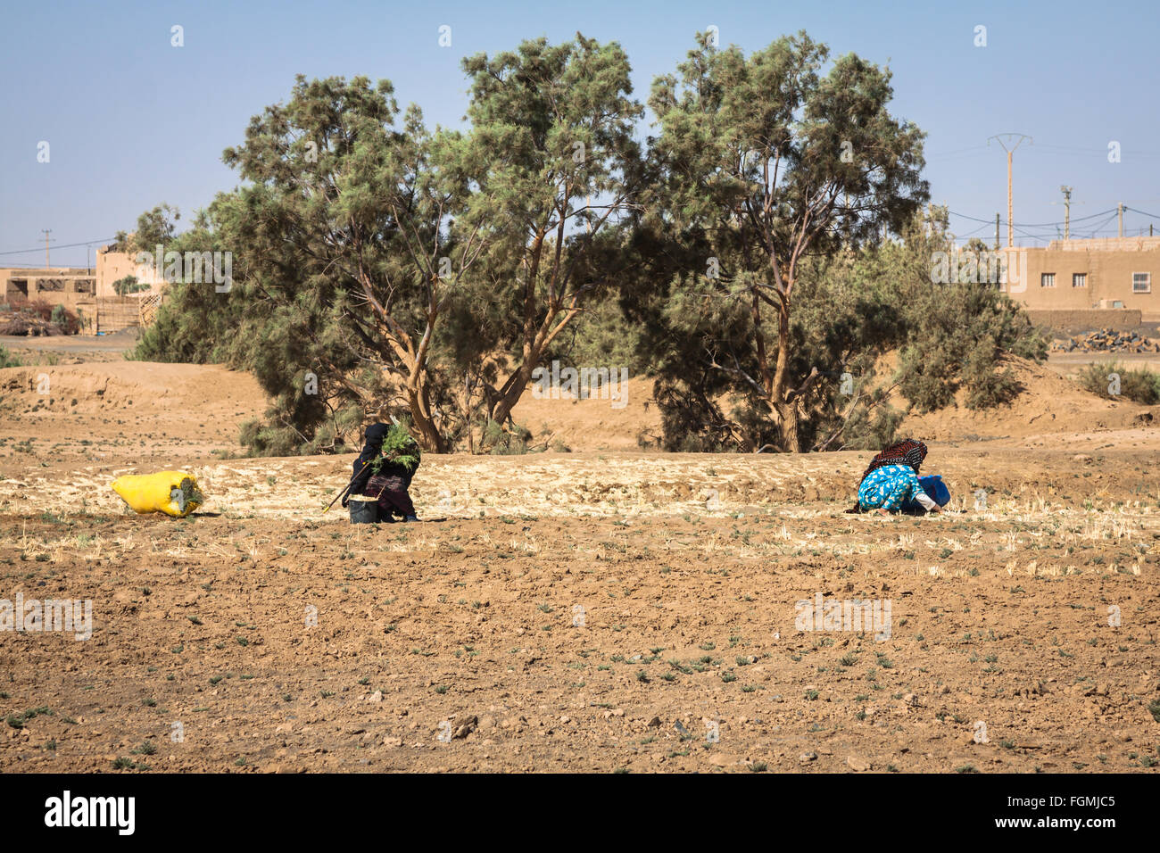 Women from maghreb hi-res stock photography and images - Alamy