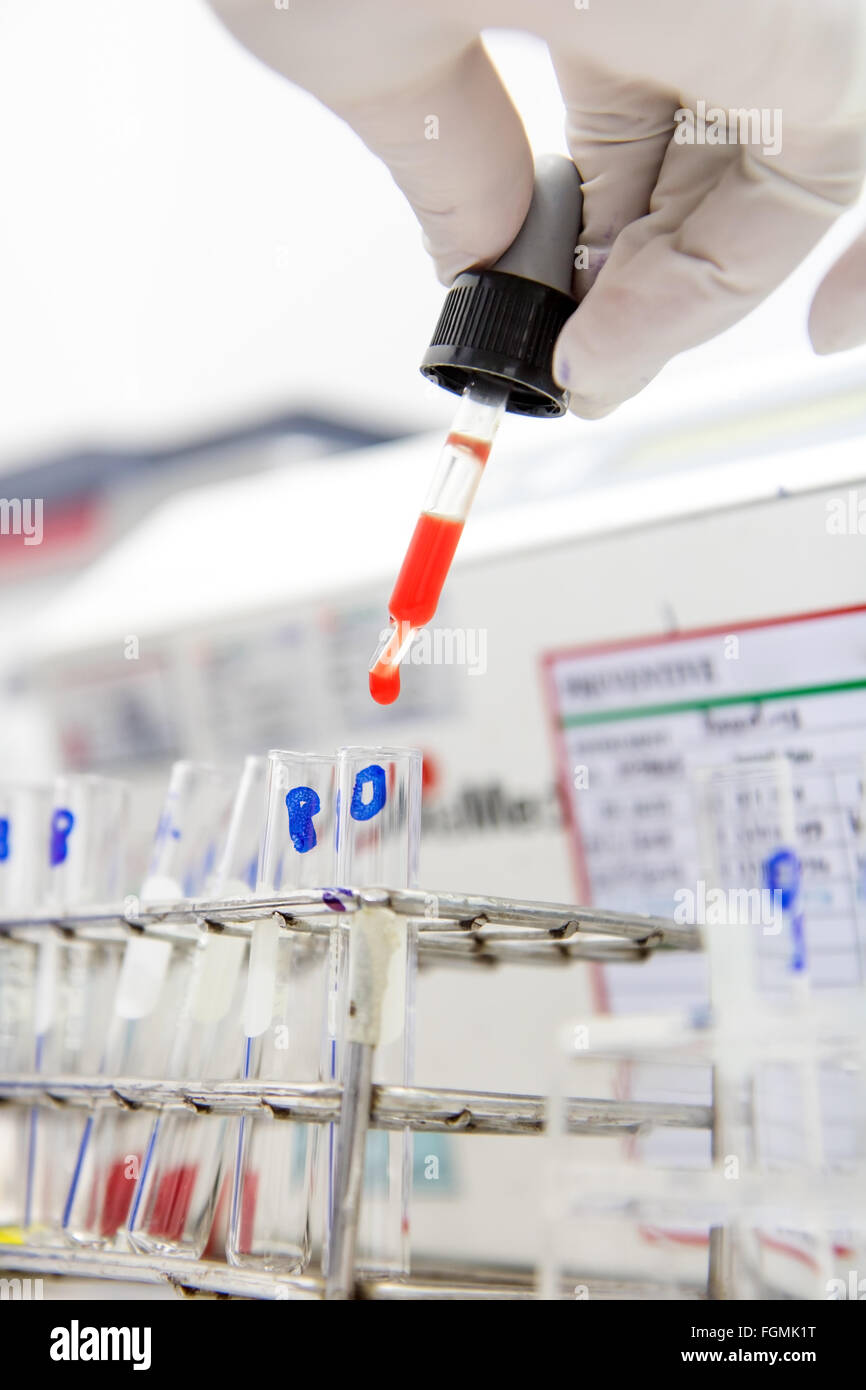 test with drip blood to tube close up Stock Photo - Alamy