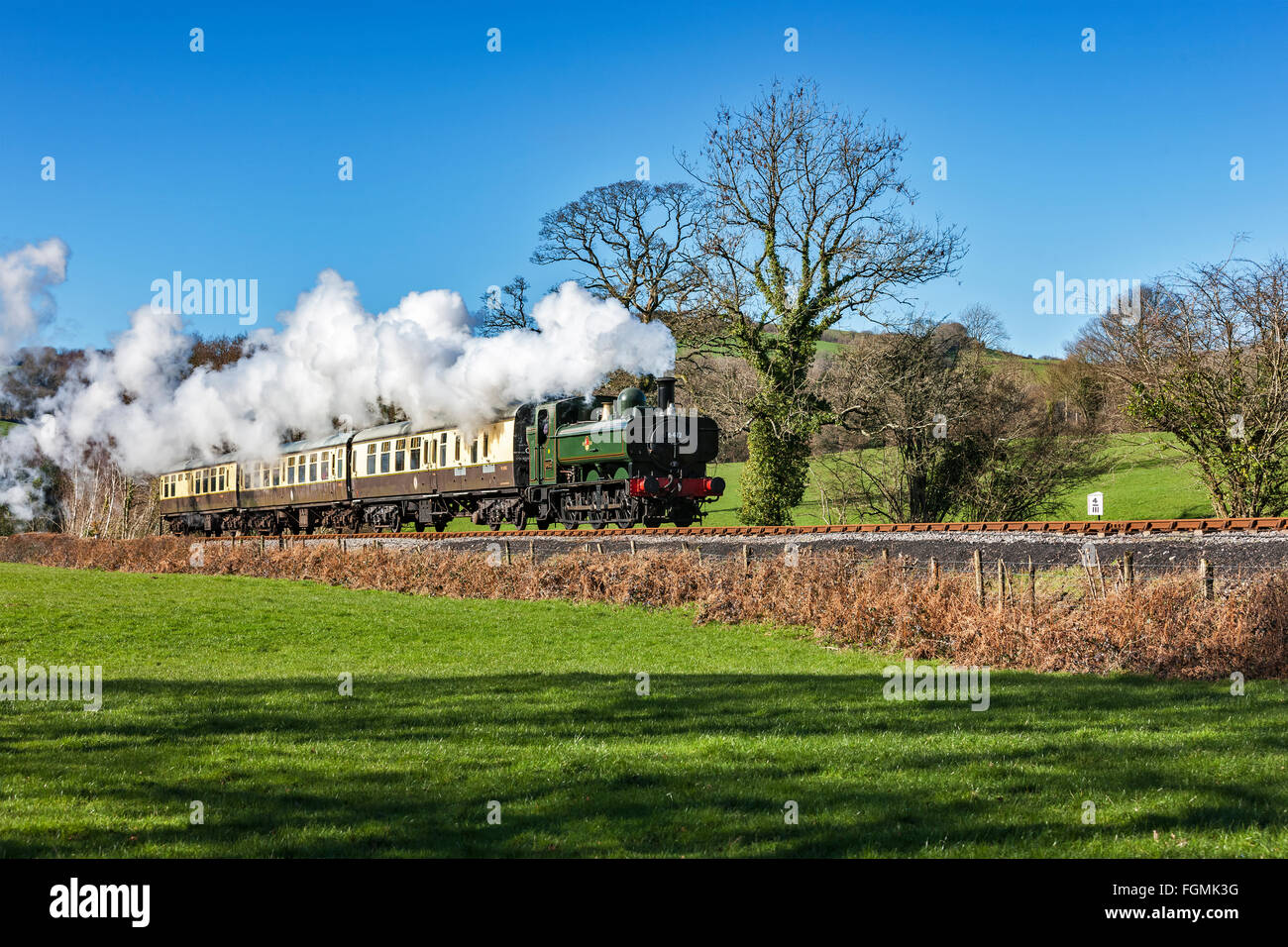 South Devon Steam Railway Stock Photo - Alamy