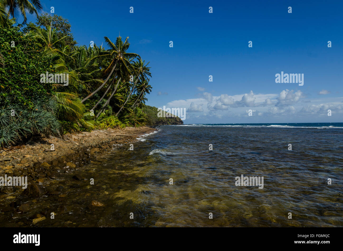 Beach on the west coast of New Caledonia Stock Photo - Alamy