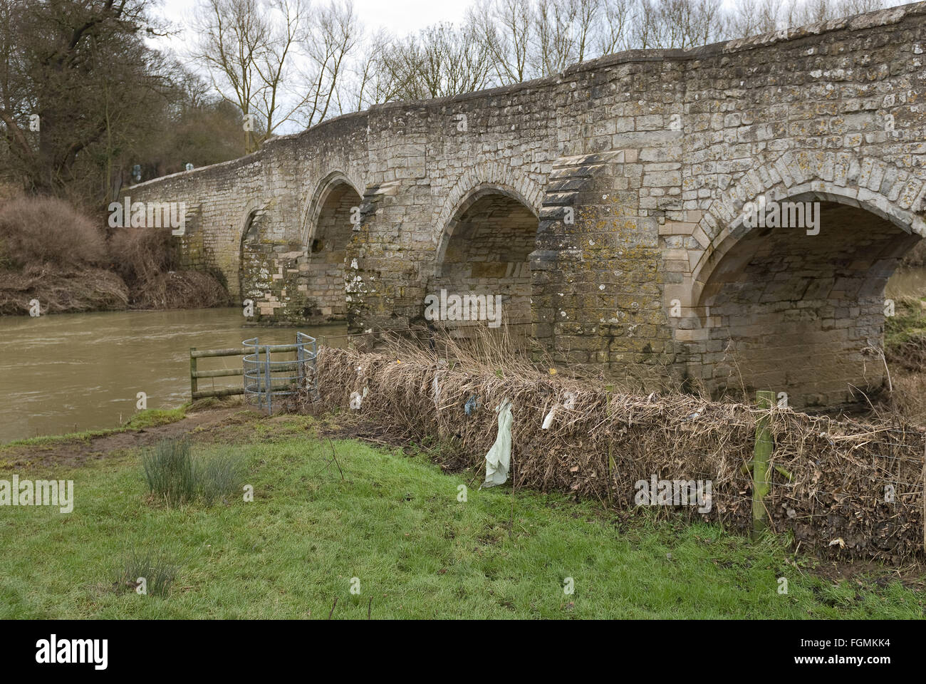 remains of debris leaves weeds rushes trapped in riverside trees and ...