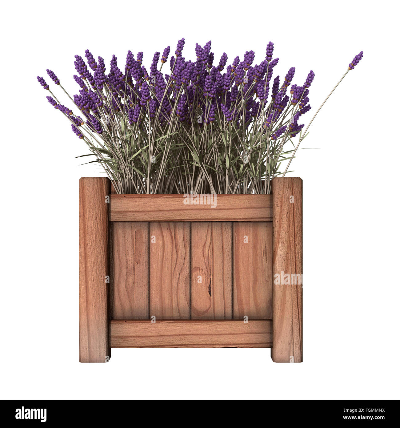 3D digital render of a lavender planter isolated on white background ...