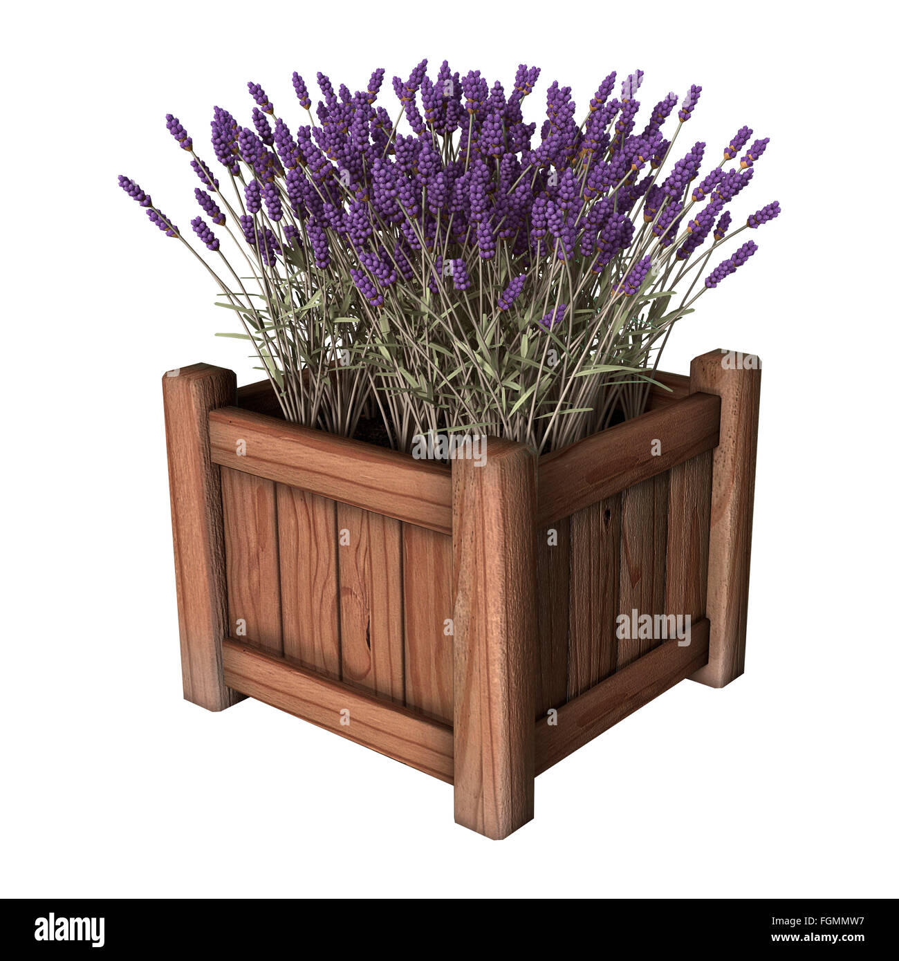 3D digital render of a lavender planter isolated on white background ...