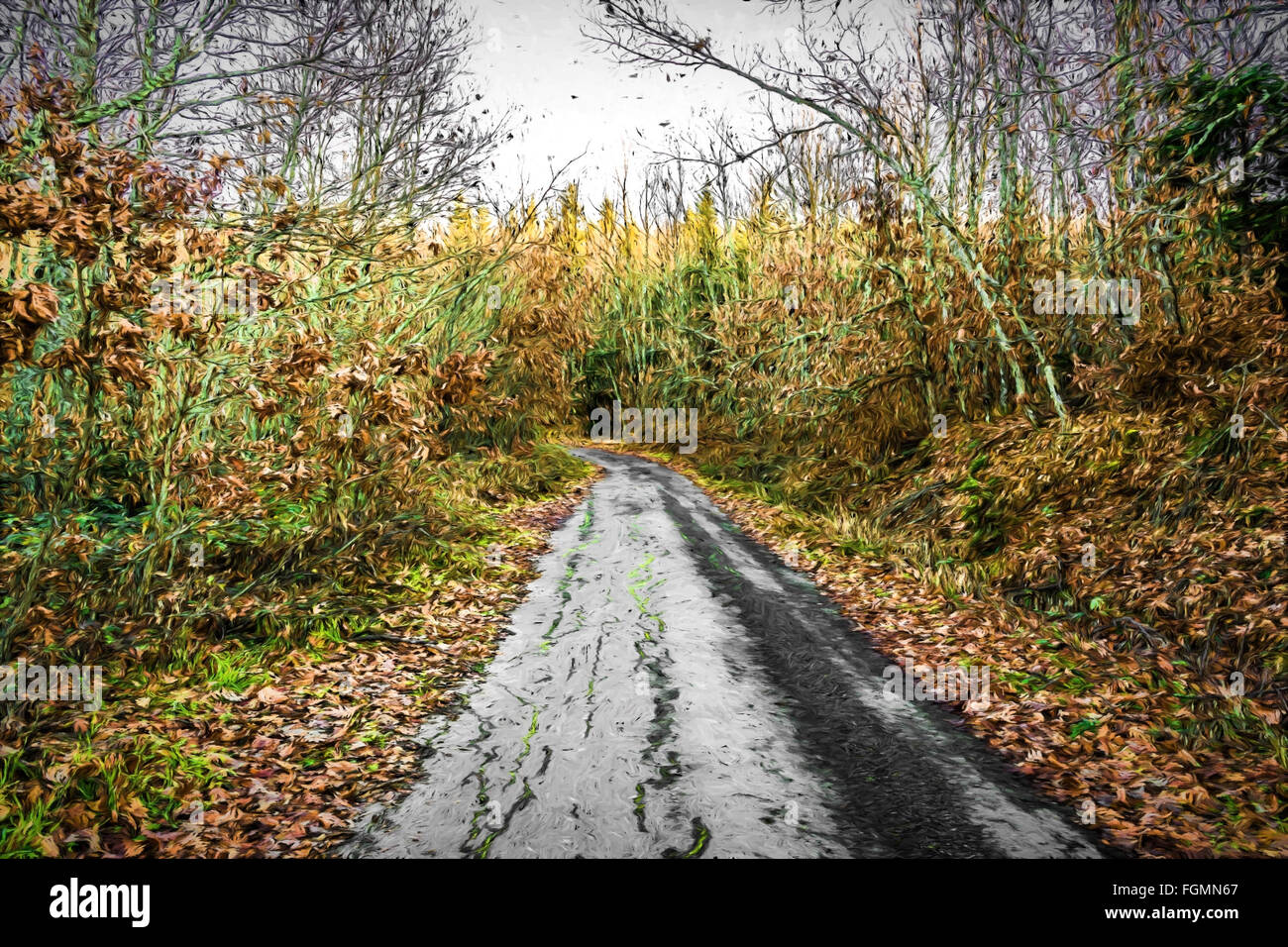 Forest road running through trees Stock Photo - Alamy