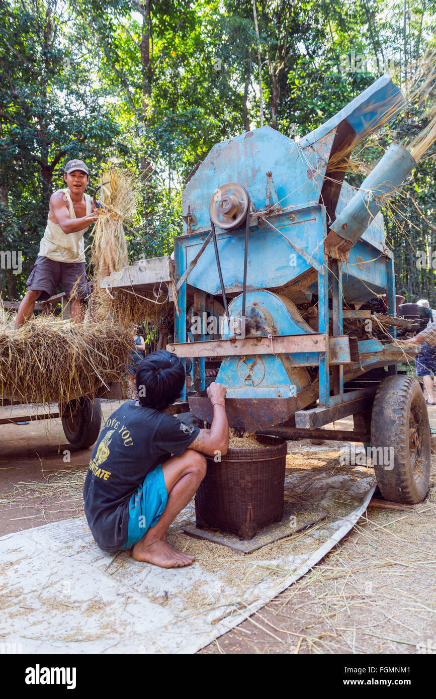 Rice threshing machine hi-res stock photography and images - Alamy