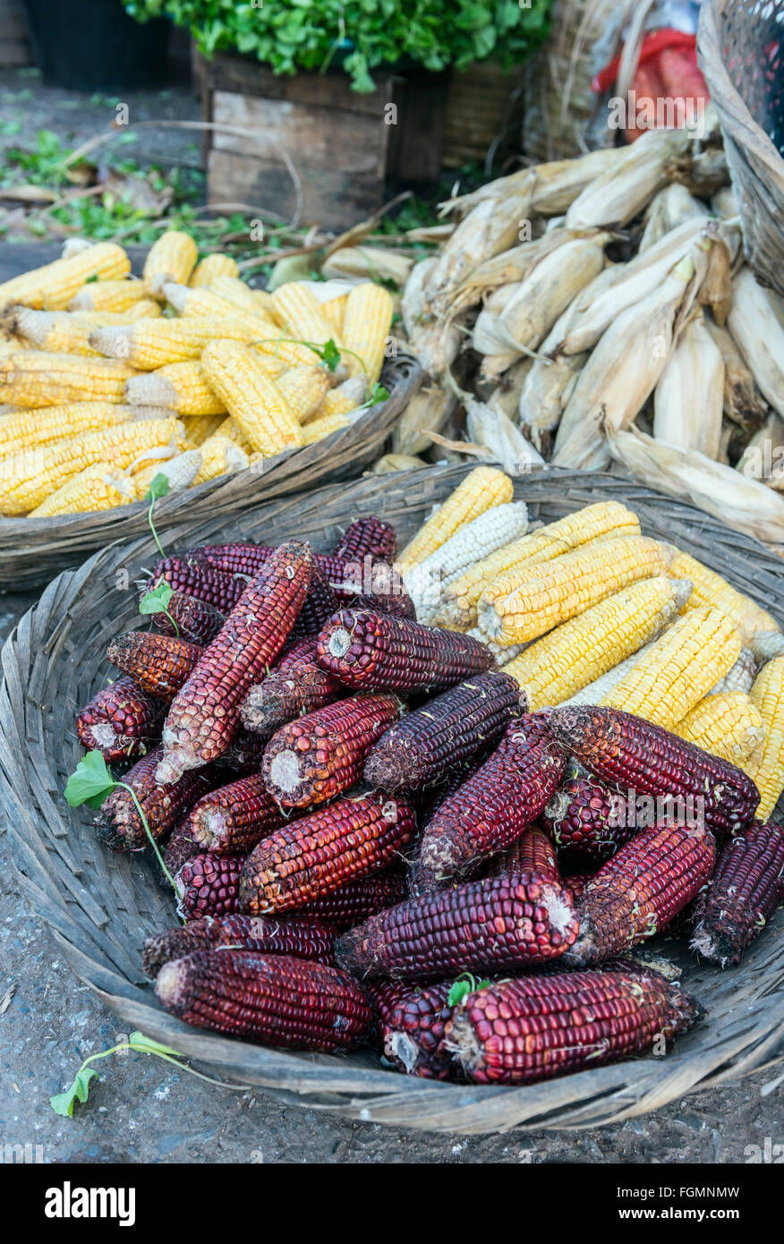 Majs hi-res stock photography and images - Alamy