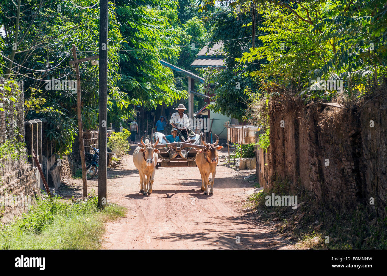 Ox carriage hi-res stock photography and images - Alamy
