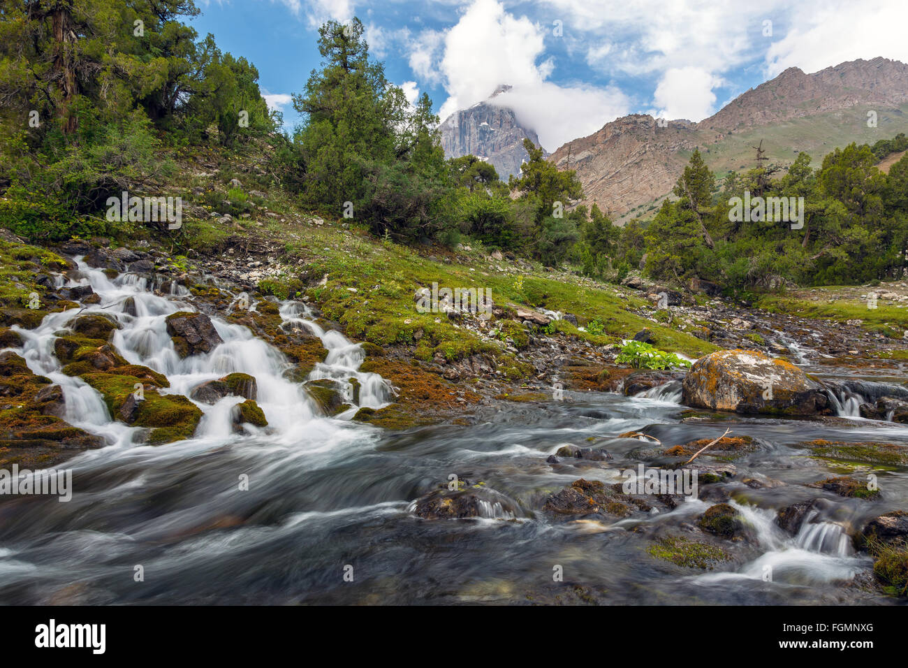 Mountain stream and meadow Stock Photo - Alamy