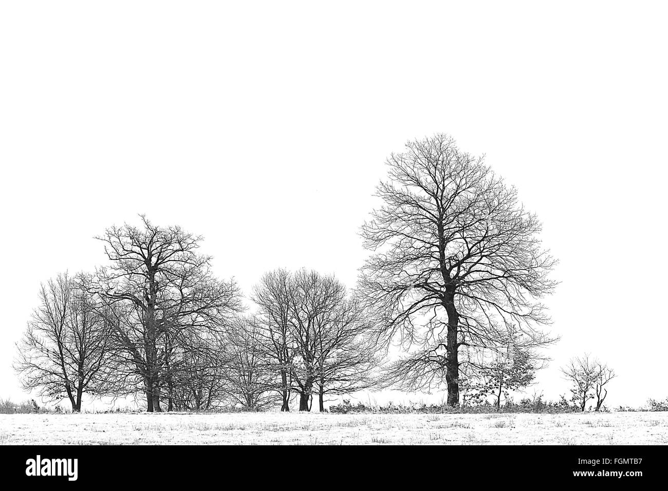 Winter landscape with trees Stock Photo - Alamy