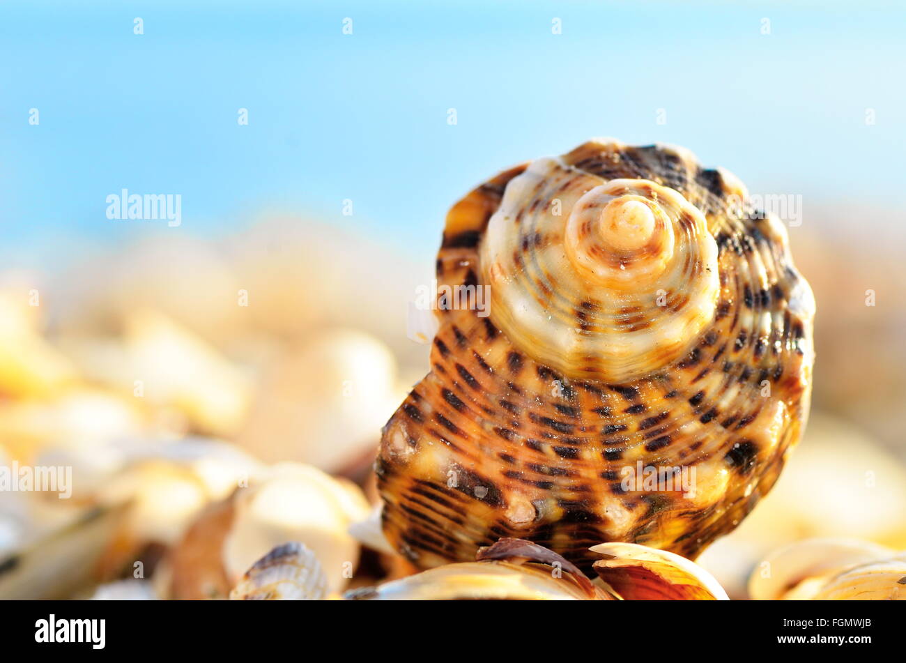 Summer sky perfect shore beach hi-res stock photography and images - Alamy