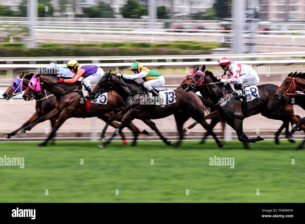 Sha tin racecourse hi-res stock photography and images - Alamy