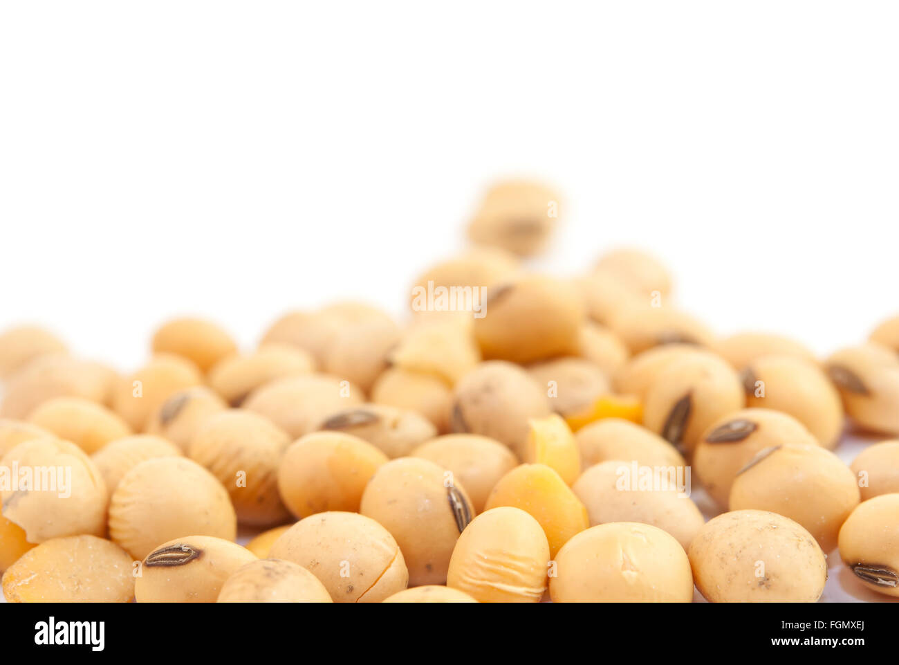 soybean isolated on white background Stock Photo - Alamy