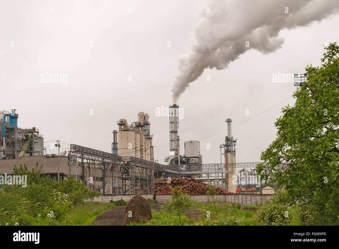 Lumber production process hi-res stock photography and images - Alamy