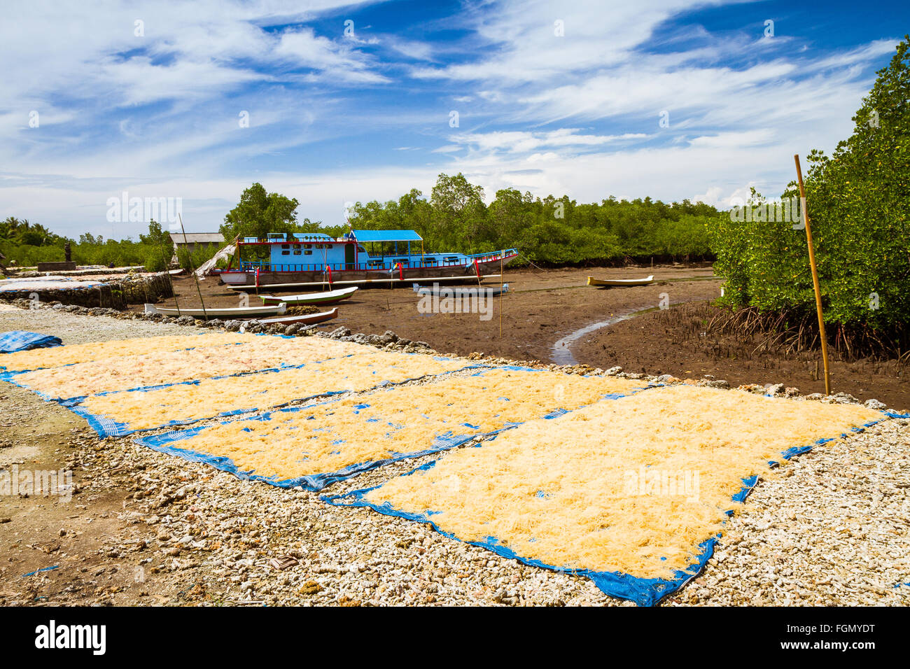Seaweed drying sheets hi-res stock photography and images - Alamy