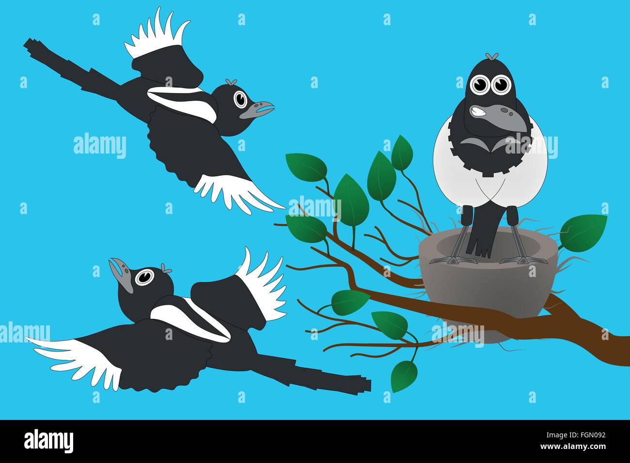 Long tail bird on Stock Vector Images - Alamy