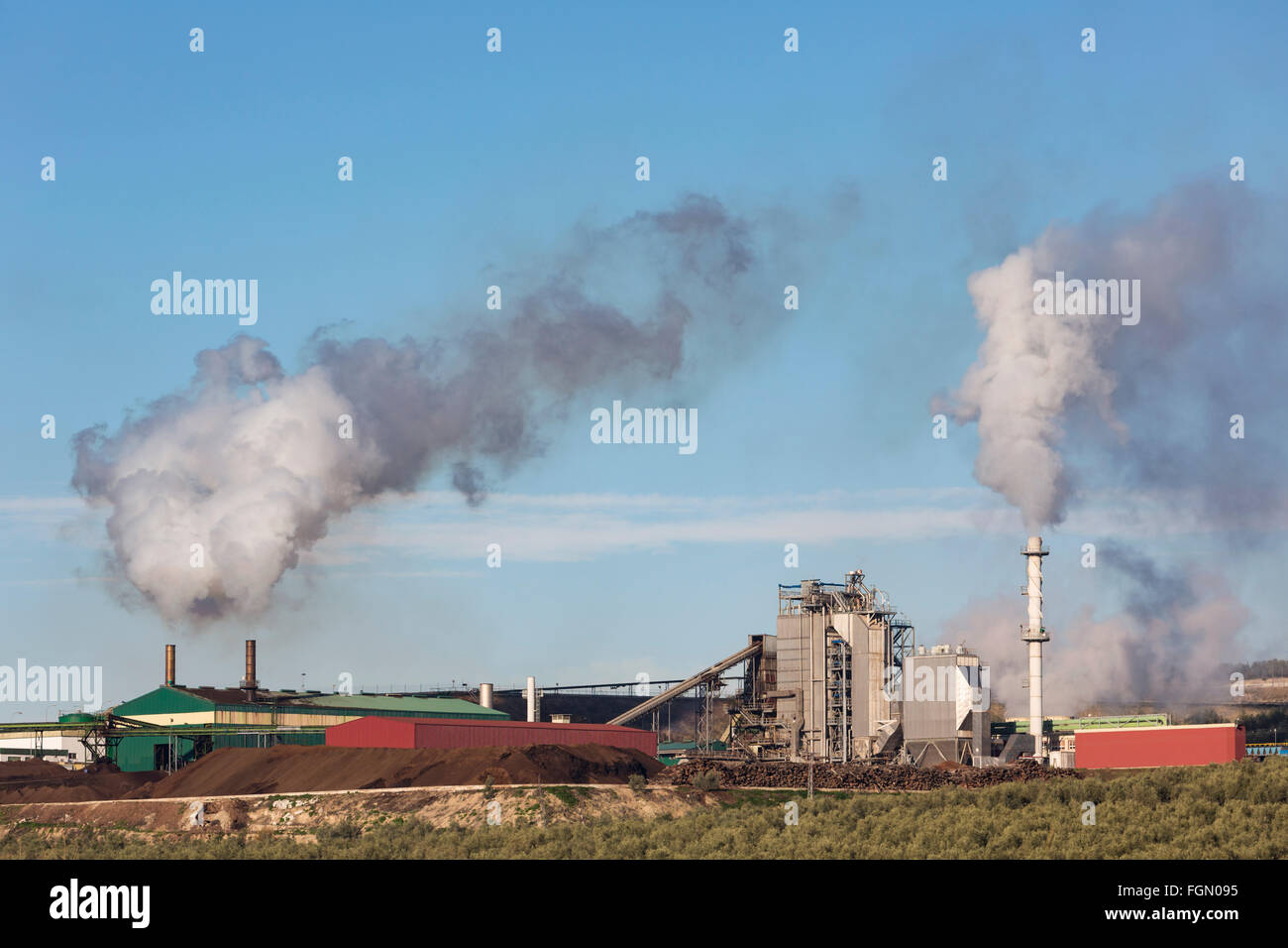 Olive oil farming hi-res stock photography and images - Alamy