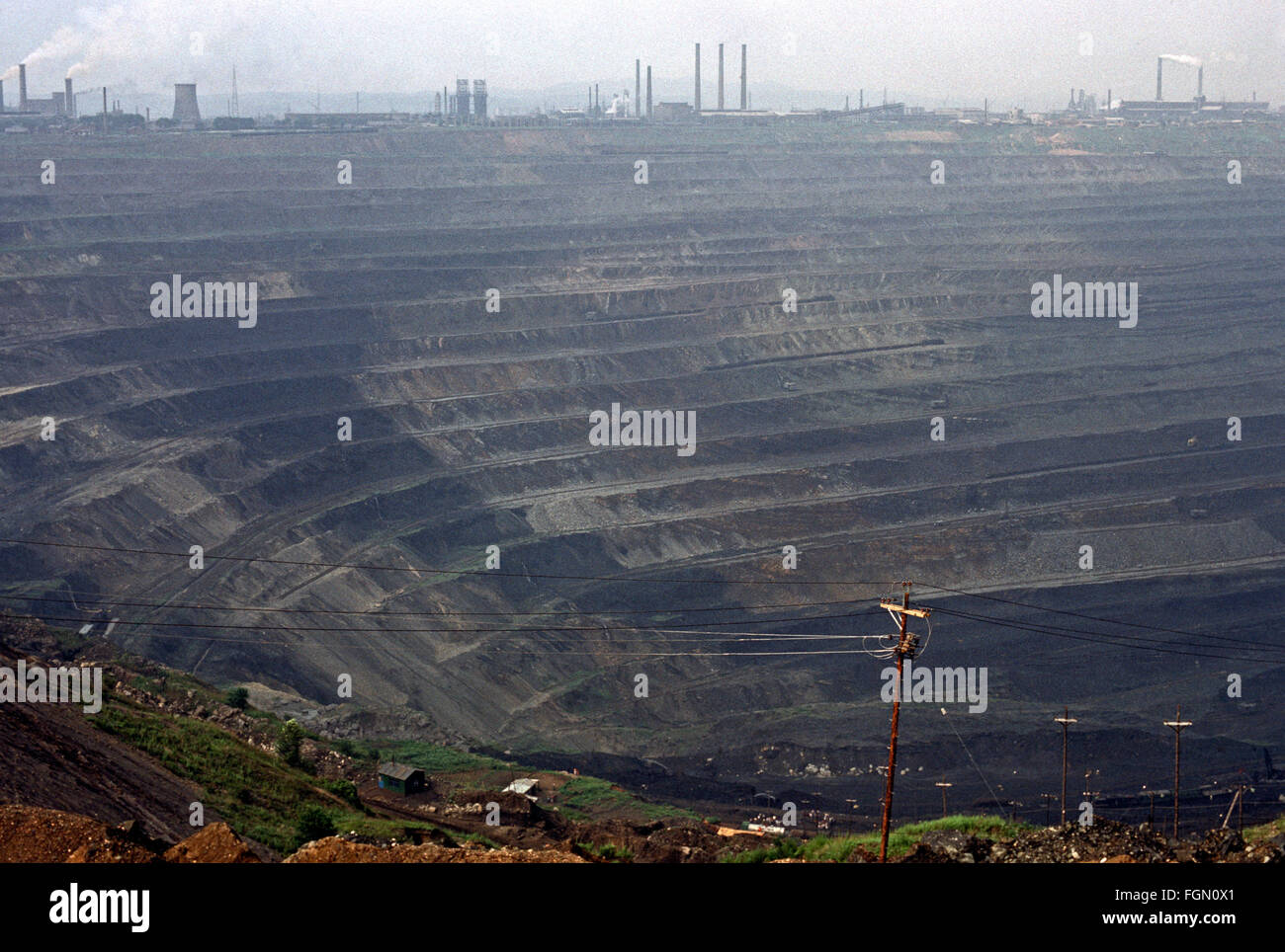 Liaoning fossil hi-res stock photography and images - Alamy