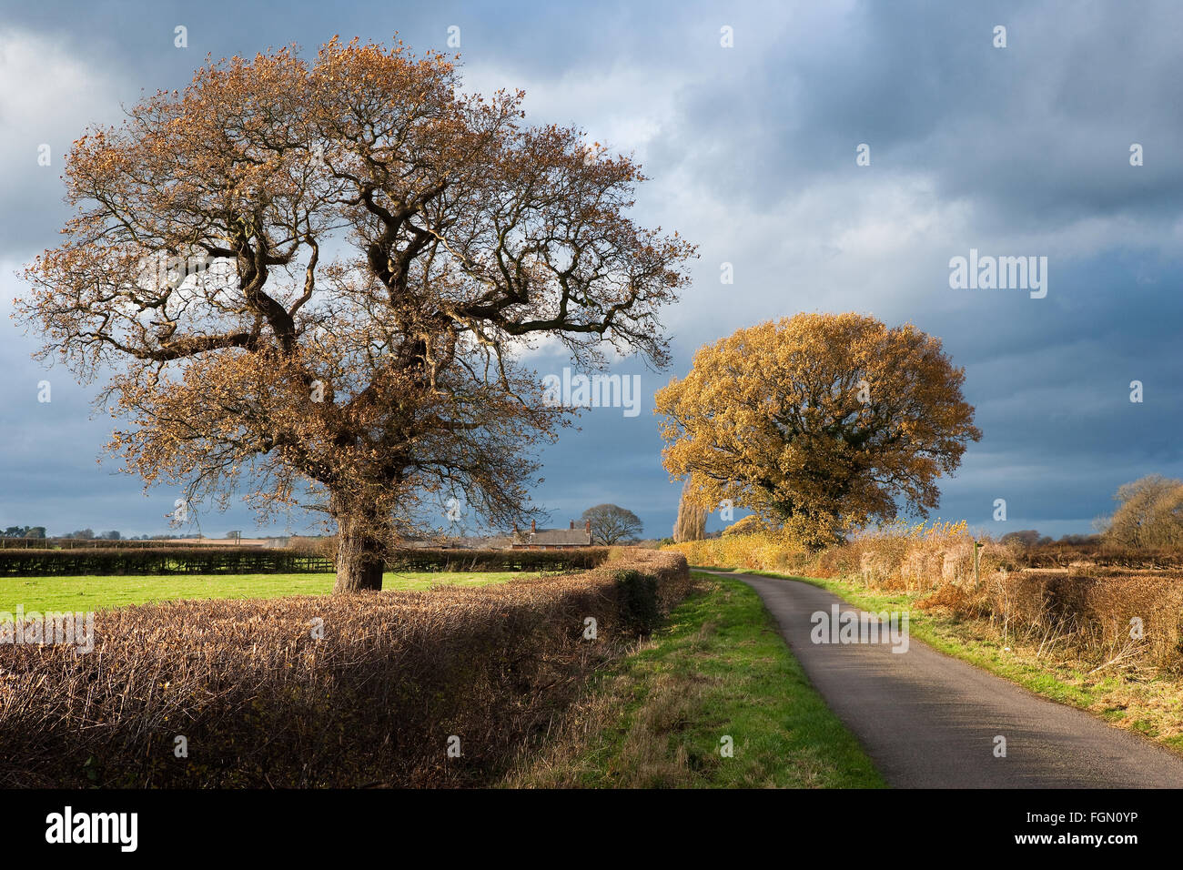Rural trees and countryside hi-res stock photography and images - Alamy