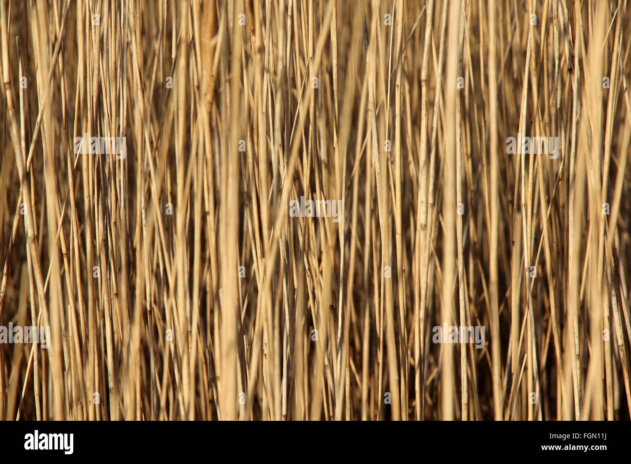 Thatching pattern hi-res stock photography and images - Alamy
